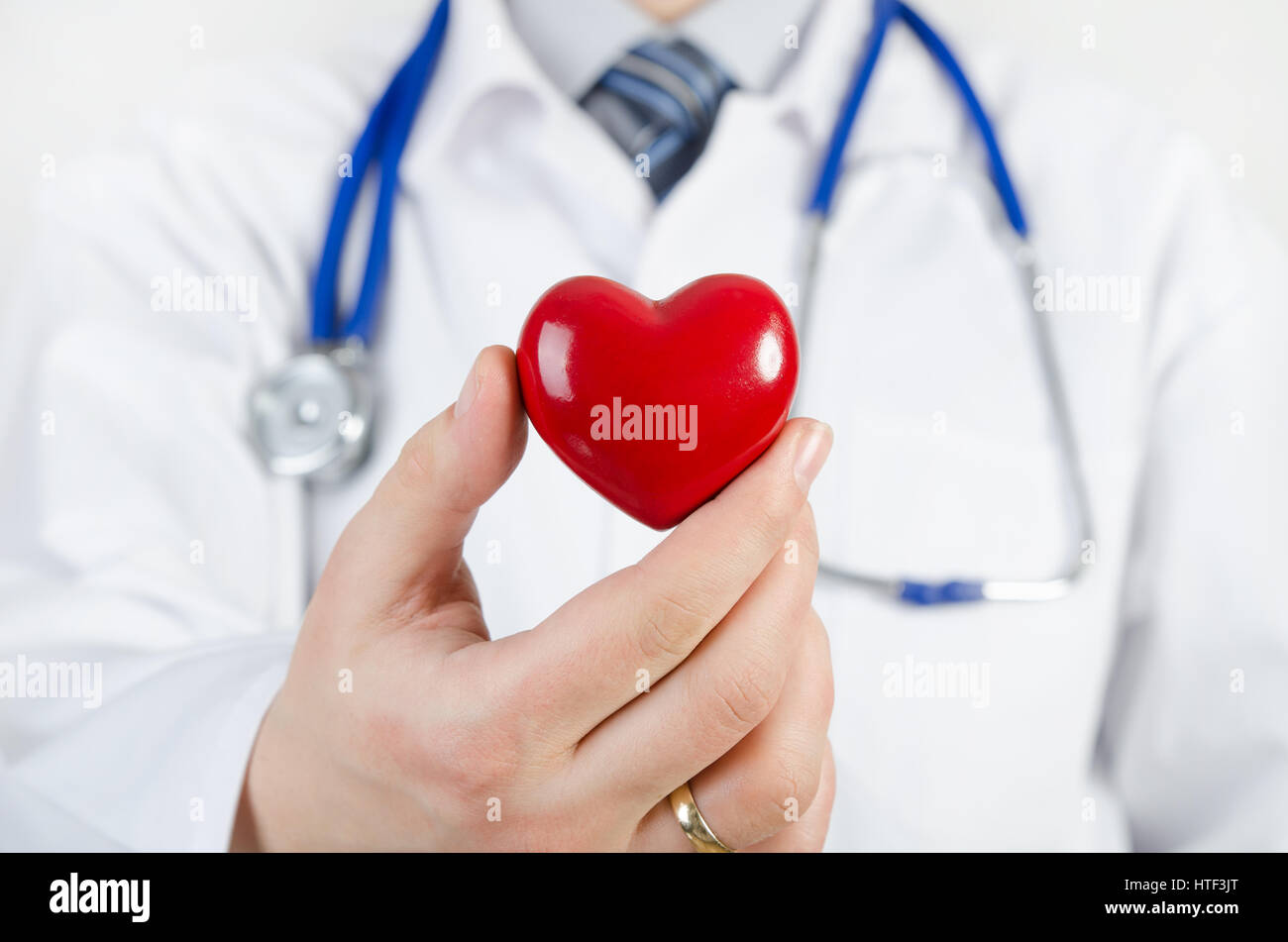 Cardiologist holding heart 3D model. heart medicine doctor healthcare ...