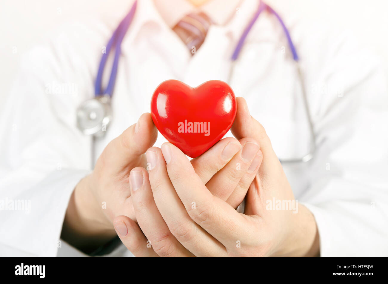 Cardiologist holding heart 3D model. heart medicine doctor healthcare ...