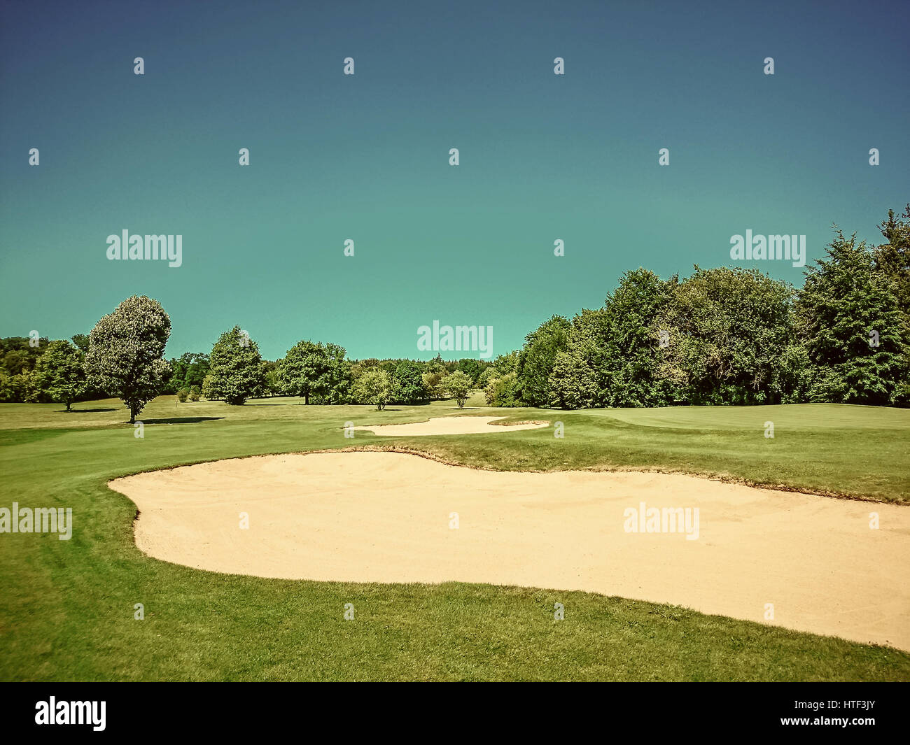 Golf course, natural green meadow with trees and blue sky Stock Photo ...