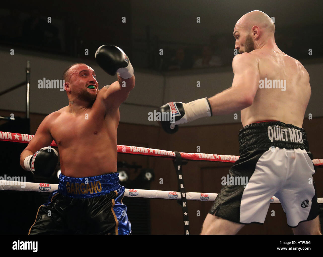 Steven ward belfast hi-res stock photography and images - Alamy