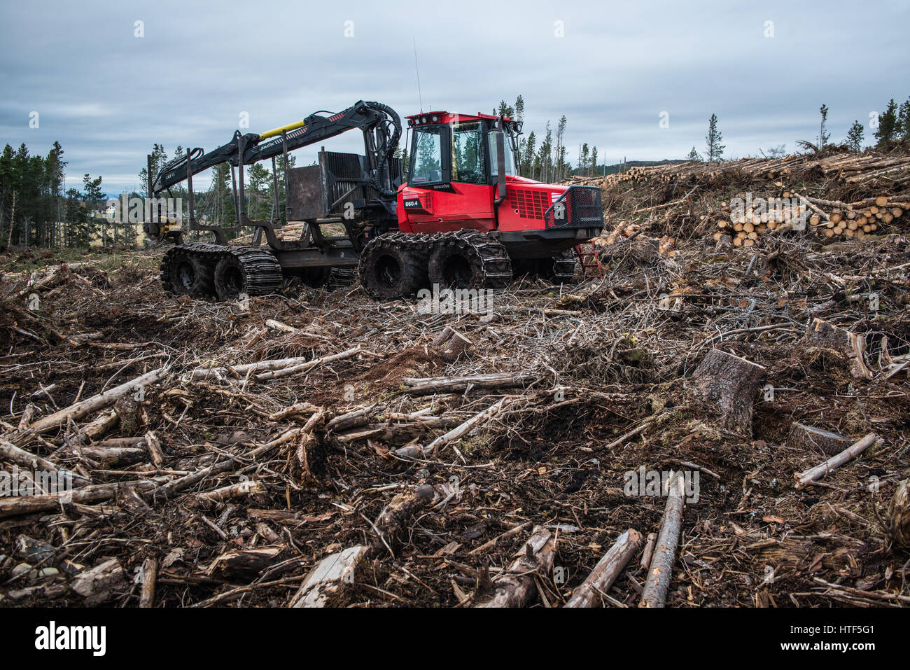 A red Komatsu 860.4 forest forwarder, parked in an area of clear fell ...