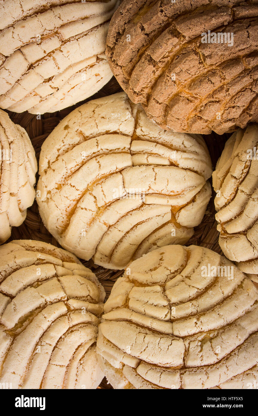 Conchas sweet bread traditional bakery of Mexico Stock Photo - Alamy