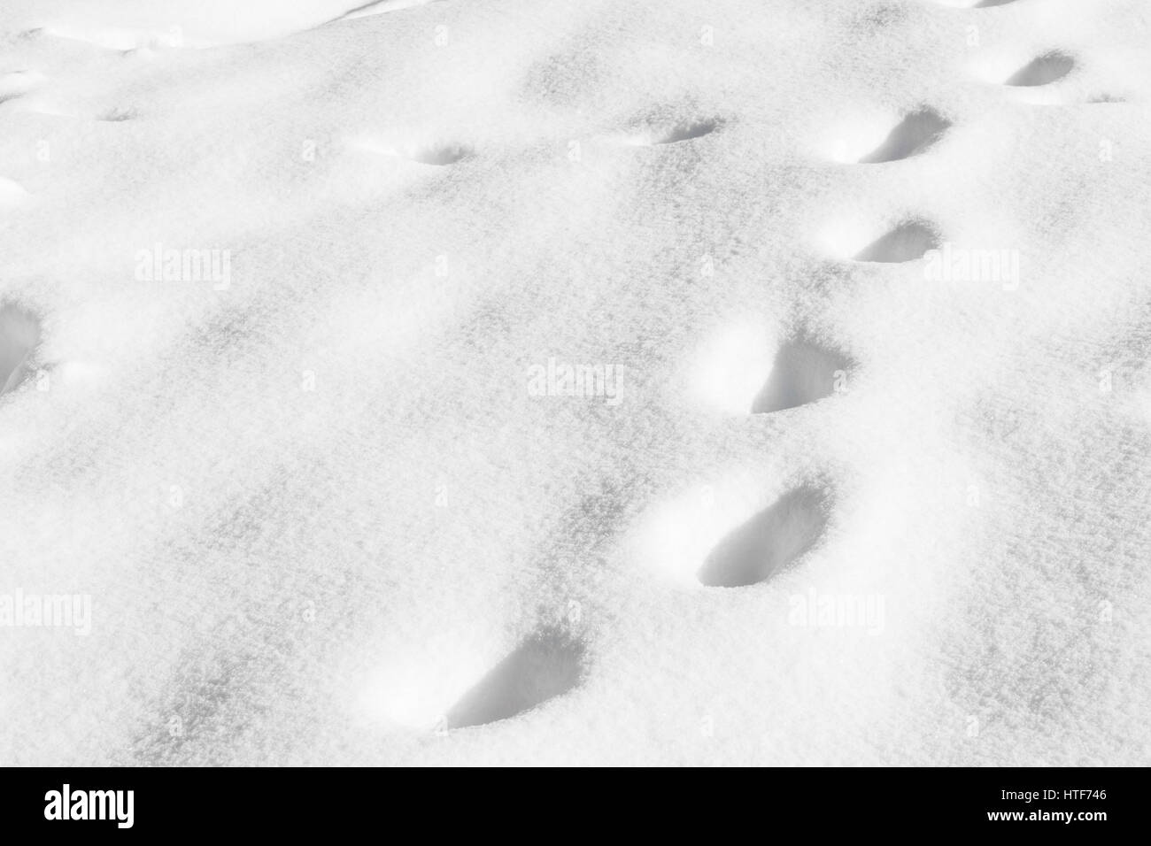 White day footprints hi-res stock photography and images - Alamy