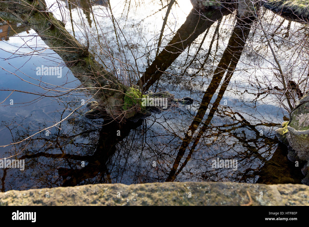 Dark nature pond mirror hi-res stock photography and images - Alamy