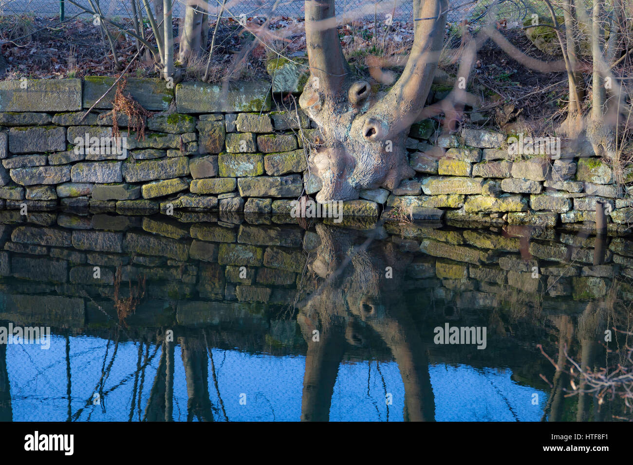 Dark nature pond mirror hi-res stock photography and images - Alamy