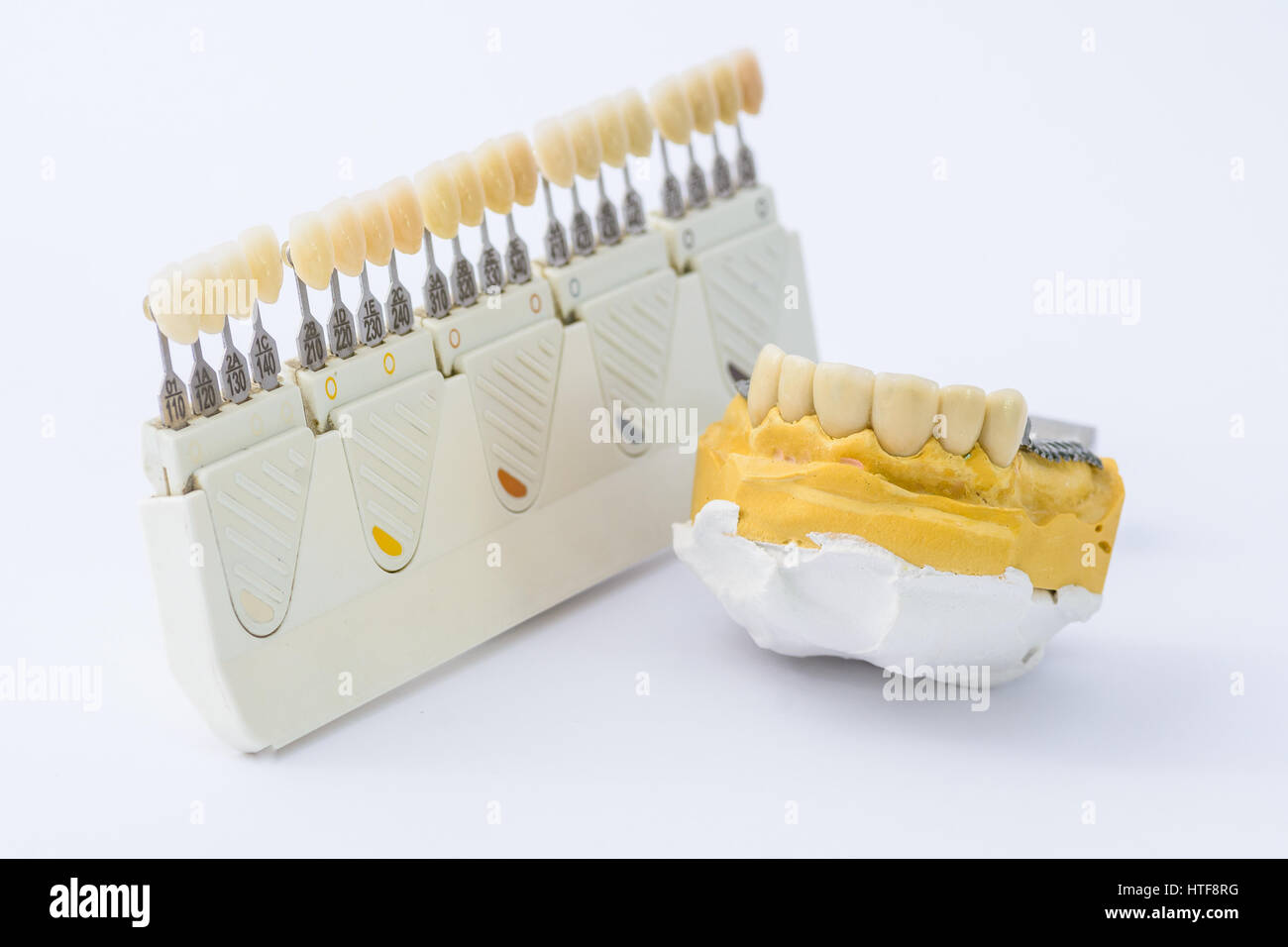 Dental color scale and prosthesis over mold Stock Photo - Alamy