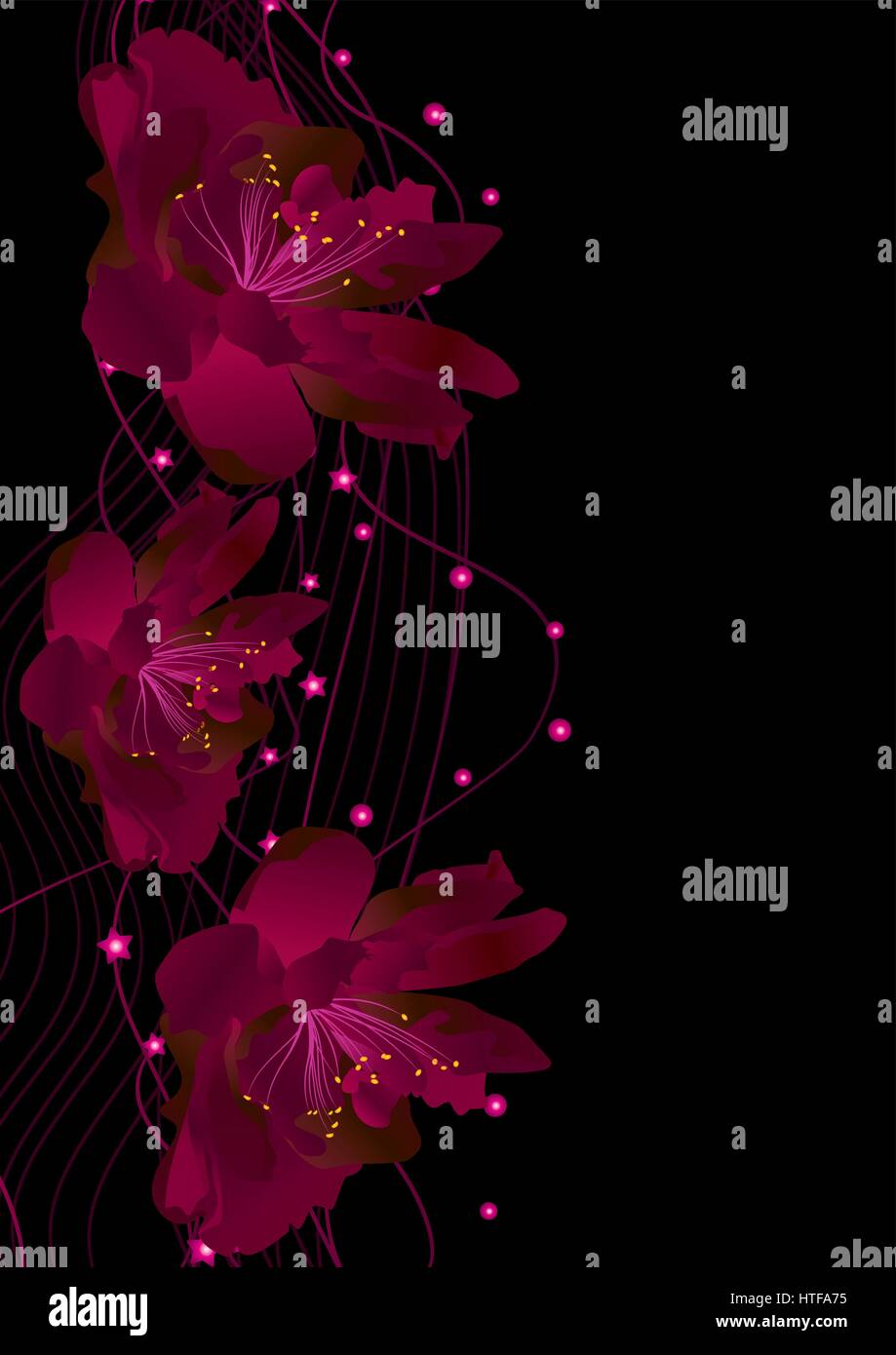 Red black rose flowers Stock Vector Images - Alamy