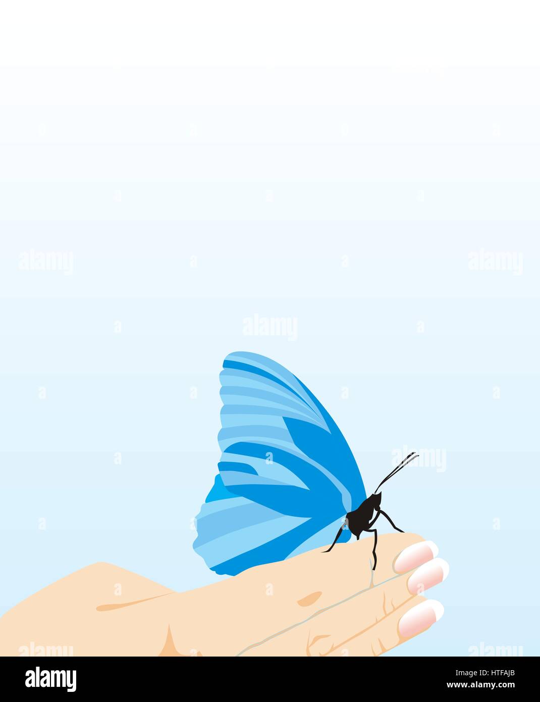 Hands releasing butterfly hi-res stock photography and images - Alamy