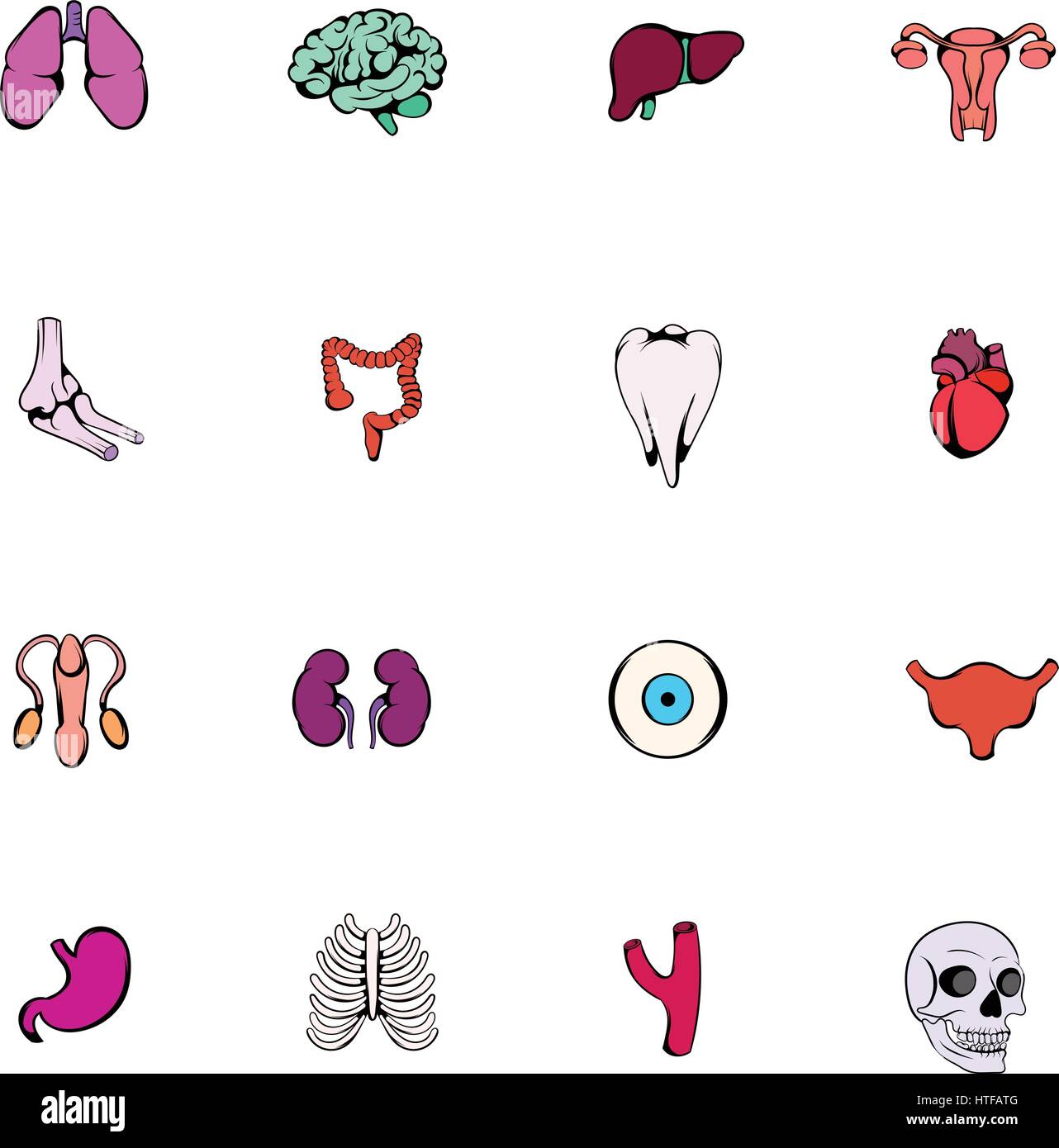 Organs icons set in cartoon style isolated on white background vector ...