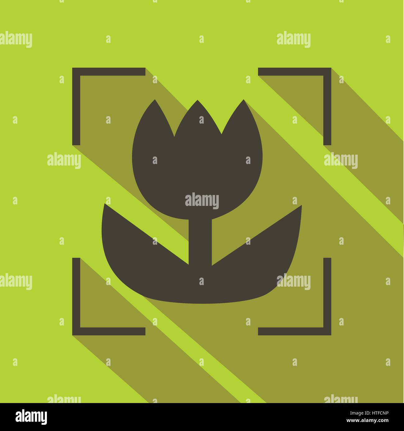 Green screen movie capture Stock Vector Images - Alamy
