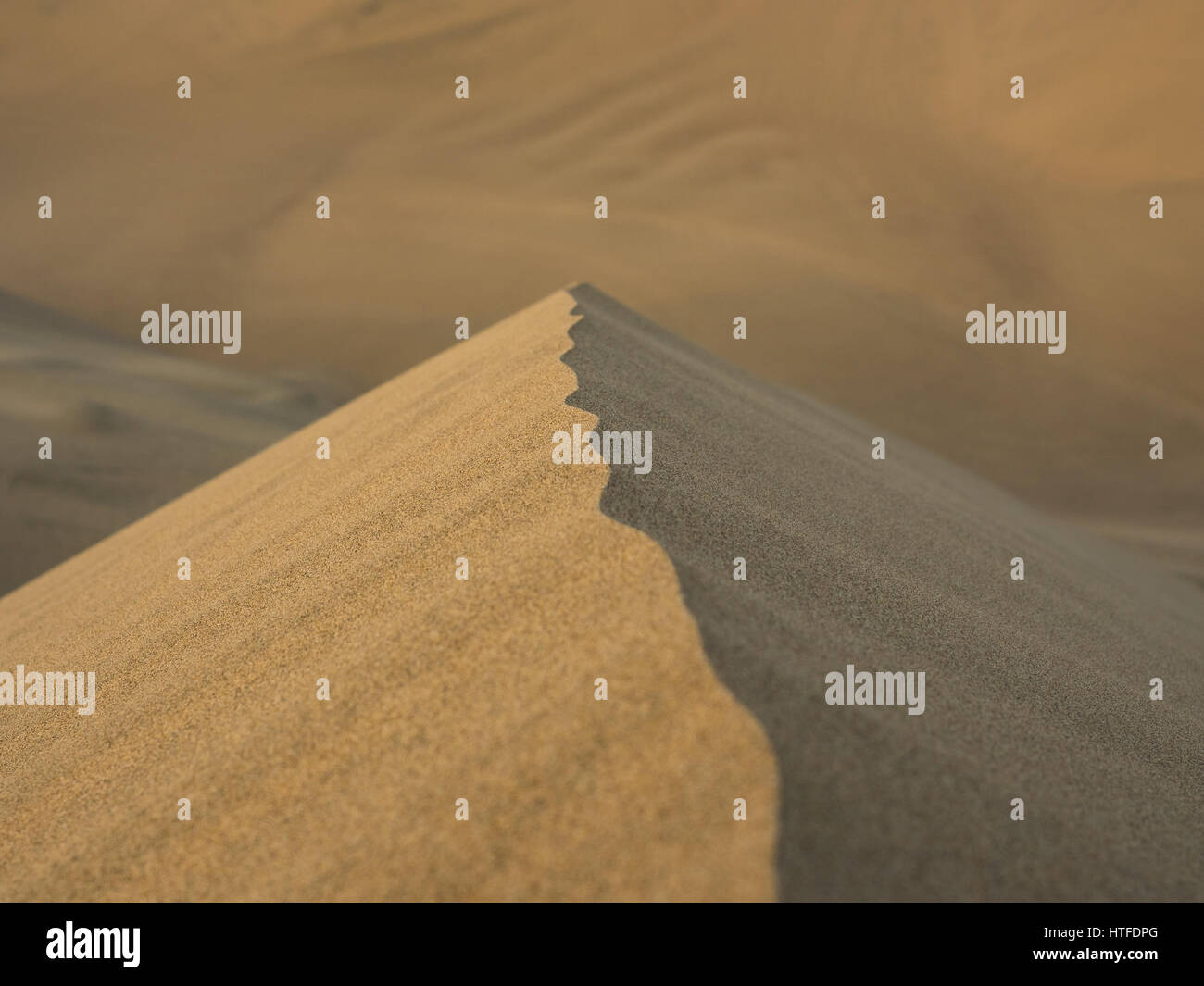Desert beaches hi-res stock photography and images - Alamy