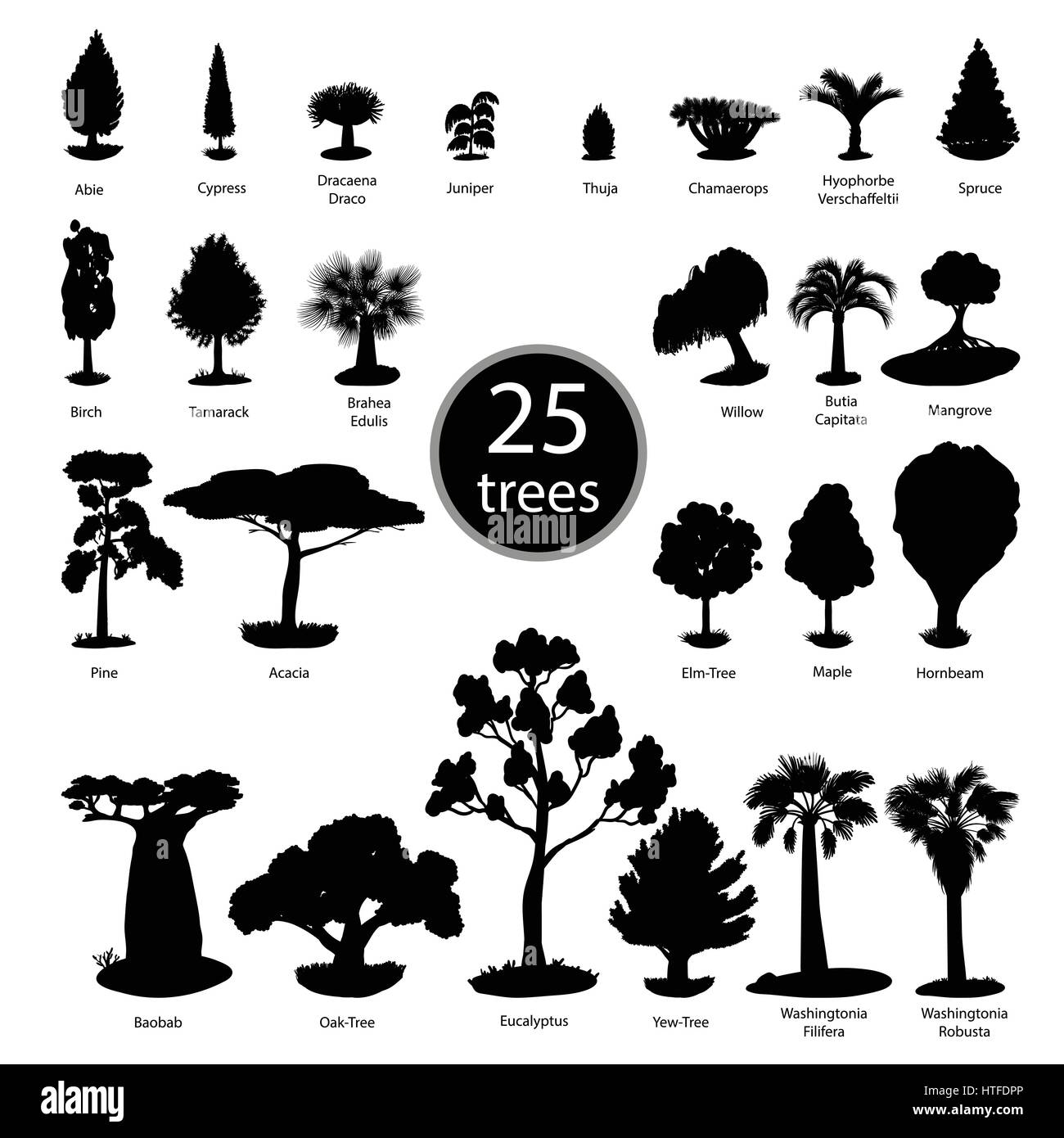 Set silhouettes christmas trees Cut Out Stock Images & Pictures - Alamy