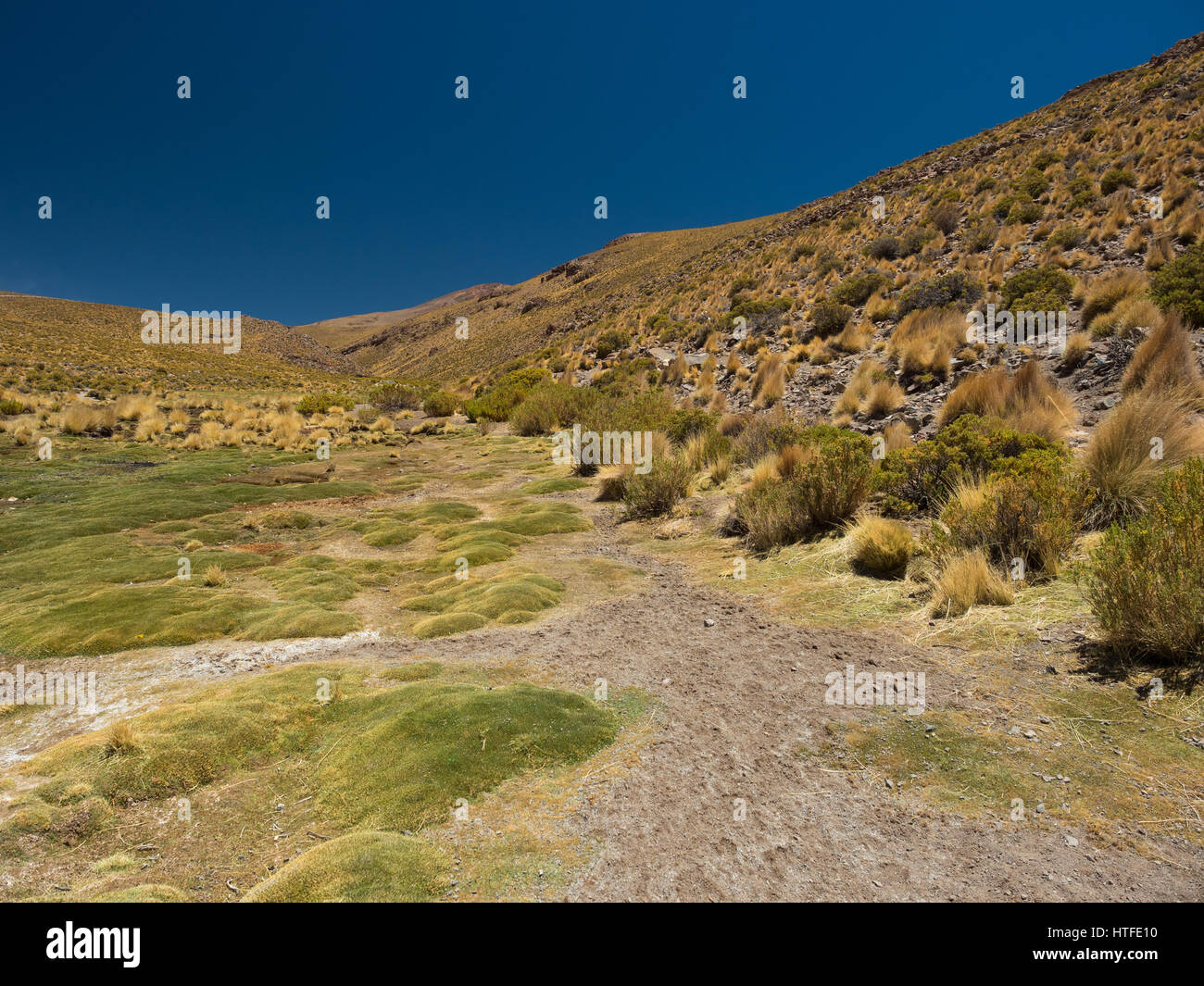 Highlands bolivia hi-res stock photography and images - Alamy