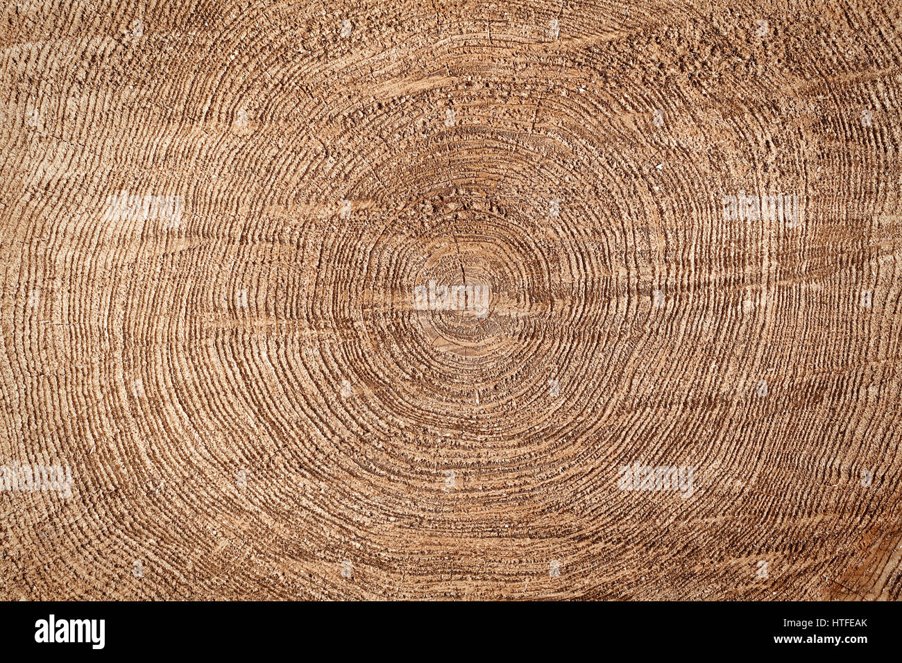 Slice of wood timber natural background Stock Photo - Alamy