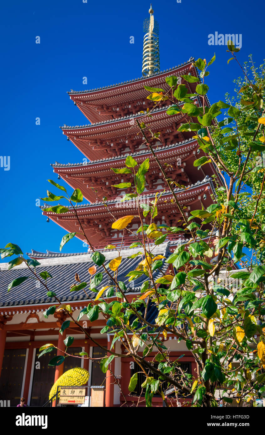 the capital city of Japan,Tokyo Stock Photo - Alamy
