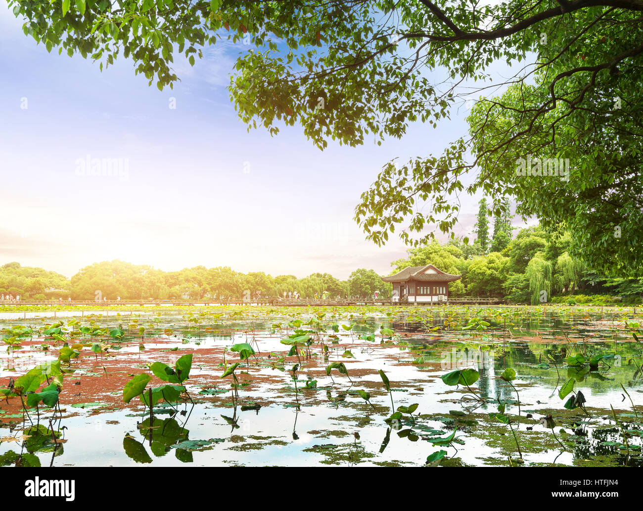 Hangzhou west lake spring water hi-res stock photography and images - Alamy