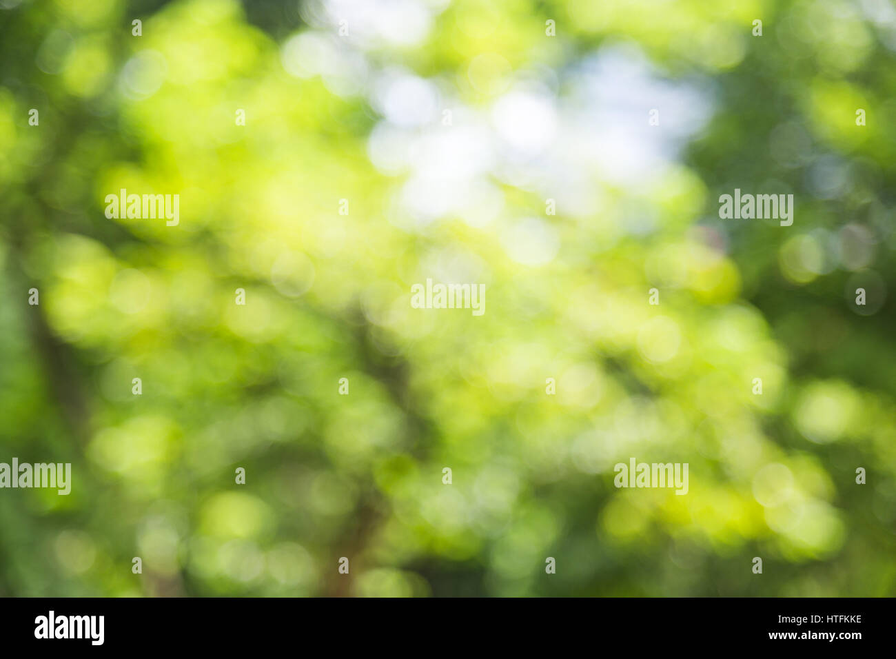 Background image soft focused hi-res stock photography and images - Alamy
