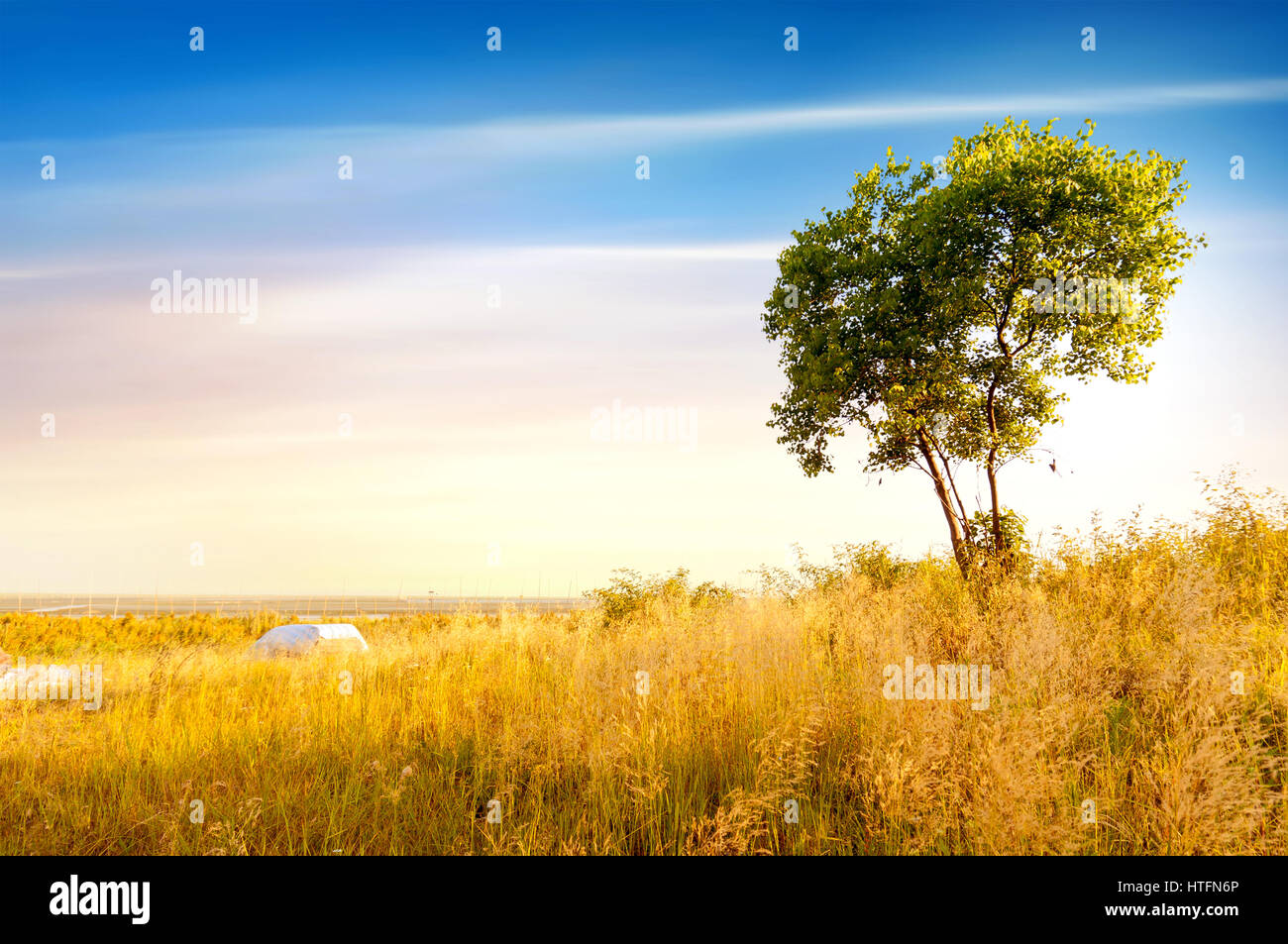 The endless prairie, dusk landscape Stock Photo - Alamy