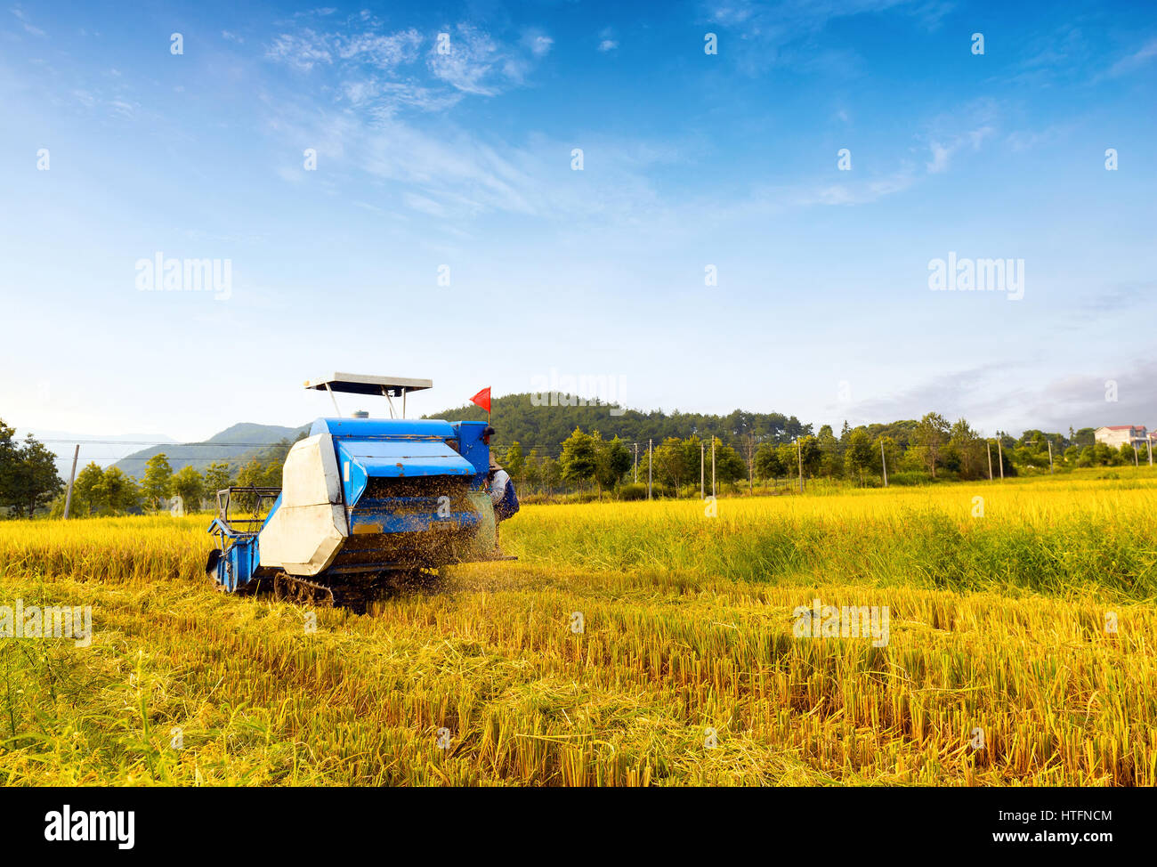 Rice harvester hi-res stock photography and images - Alamy
