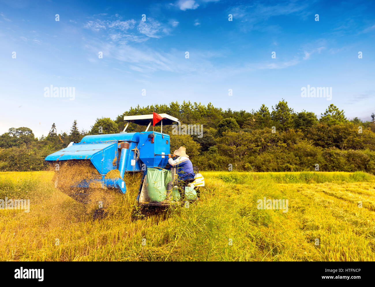 Rice harvester hi-res stock photography and images - Alamy