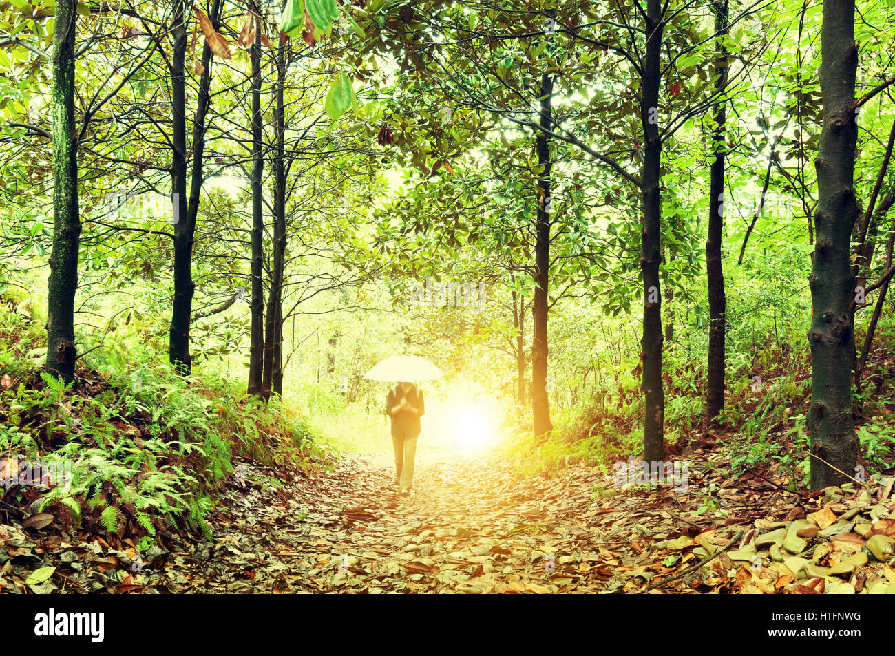 Solitude concept - lonely sad woman in the woods Stock Photo - Alamy