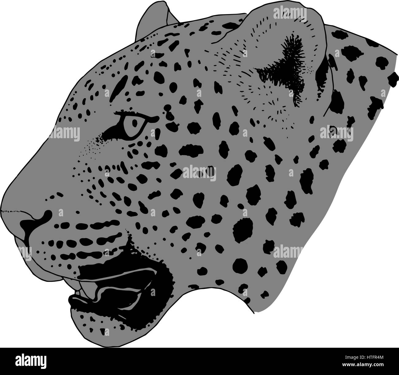 Leopard face tattoo ,Vector illustration, print Stock Vector Image ...