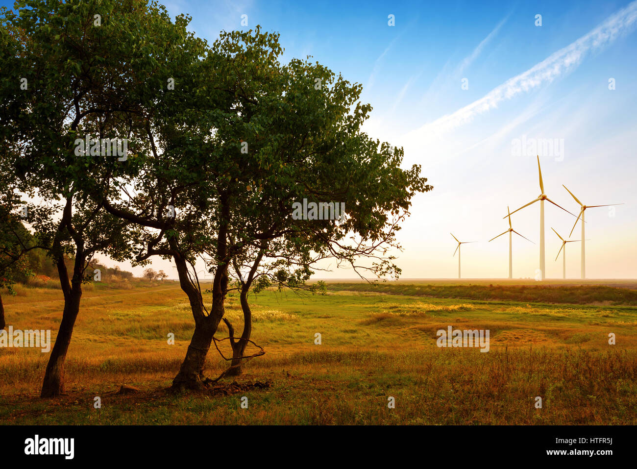 Wind turbines with tree in the sunset Stock Photo - Alamy