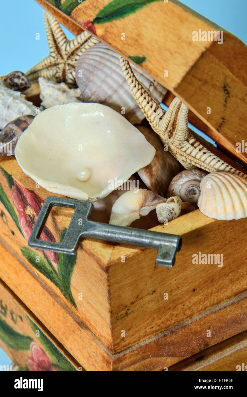 Box wood shells hi-res stock photography and images - Alamy