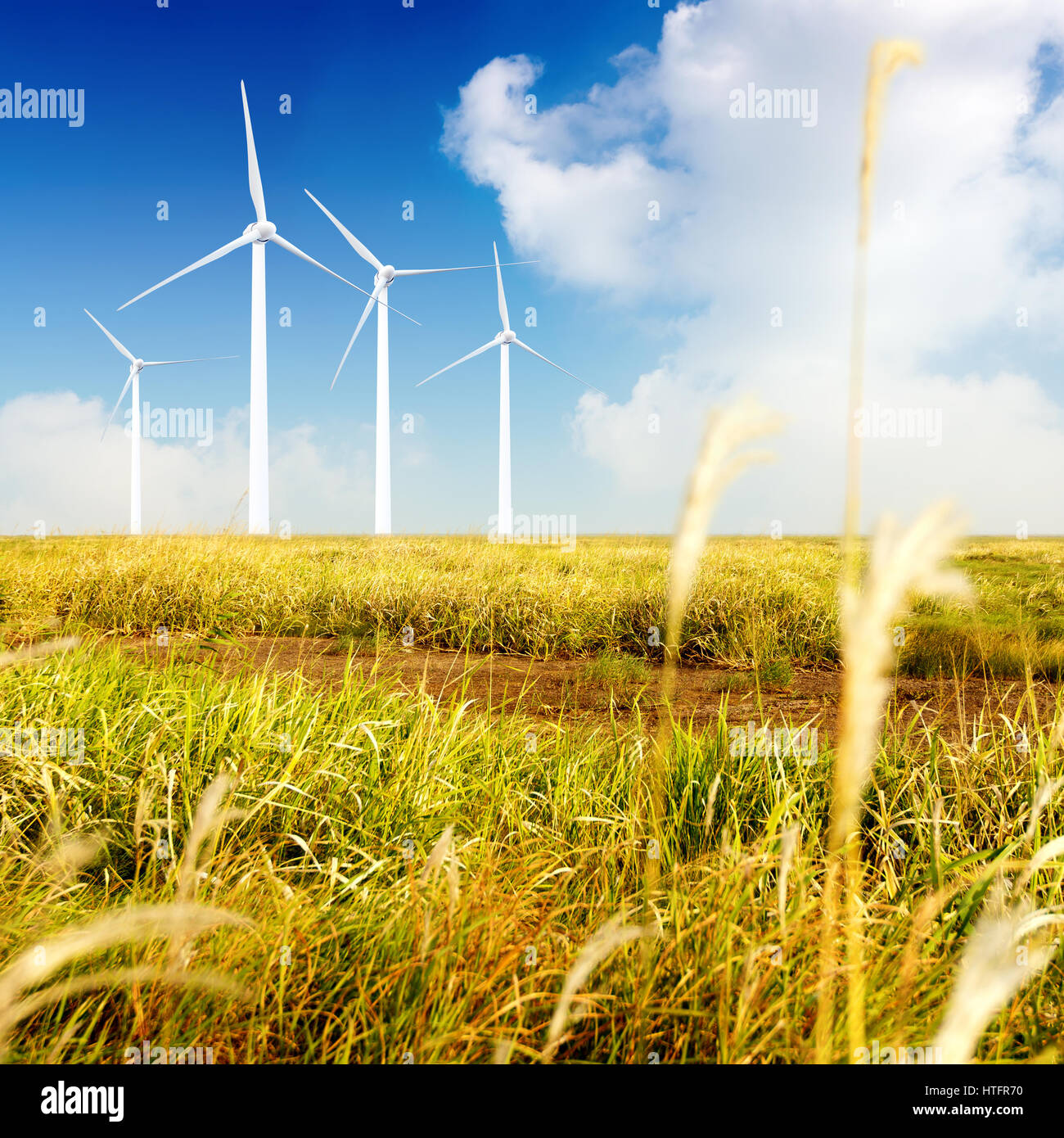 Autumn prairie and wind turbines Stock Photo - Alamy