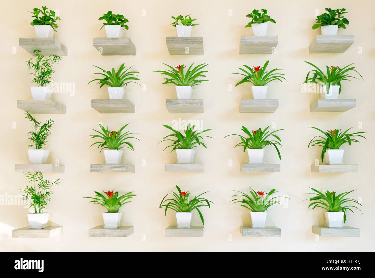Decorating with tropical plants hi-res stock photography and images - Alamy