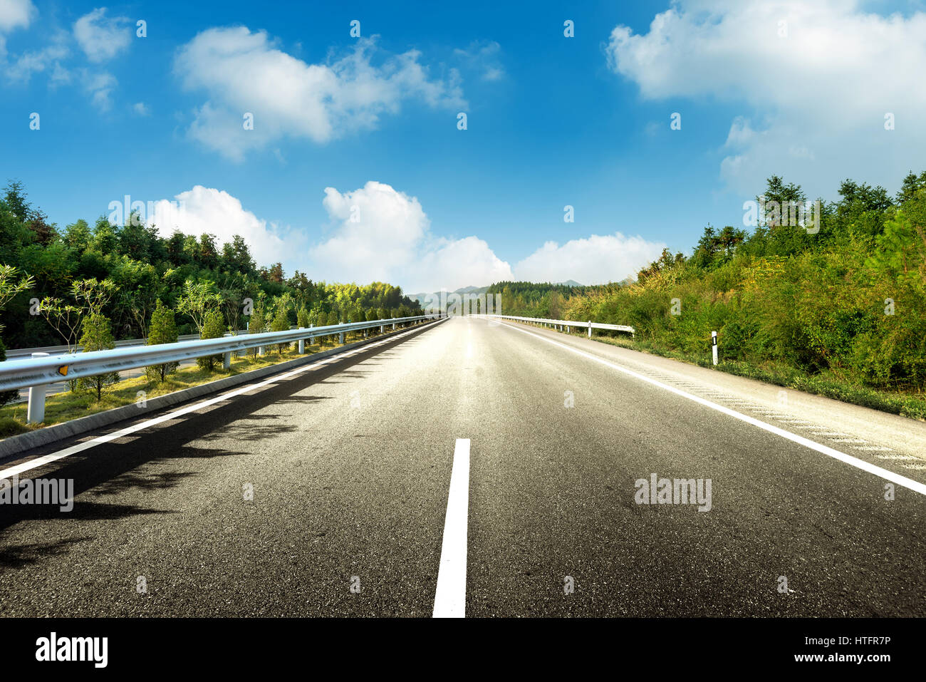 Forest under the blue sky, clean highways Stock Photo - Alamy