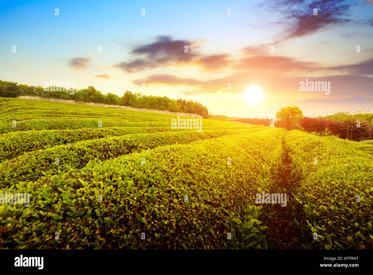 Sunset tea time, dramatic sky and clouds Stock Photo - Alamy