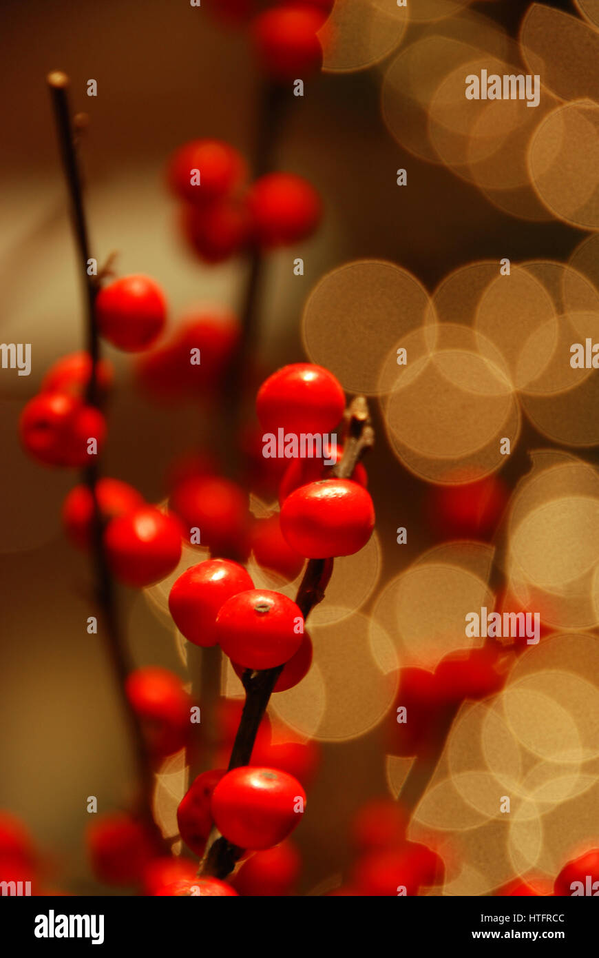 Christmas background Christmas, Berry Fruit, Celebration Event, Holly ...
