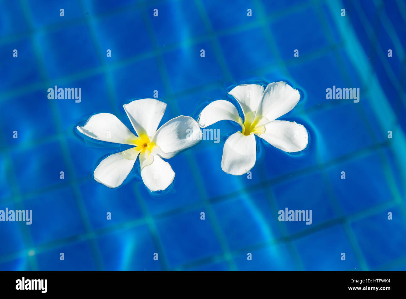 Flower on pool villa hotel swimming Stock Photo - Alamy