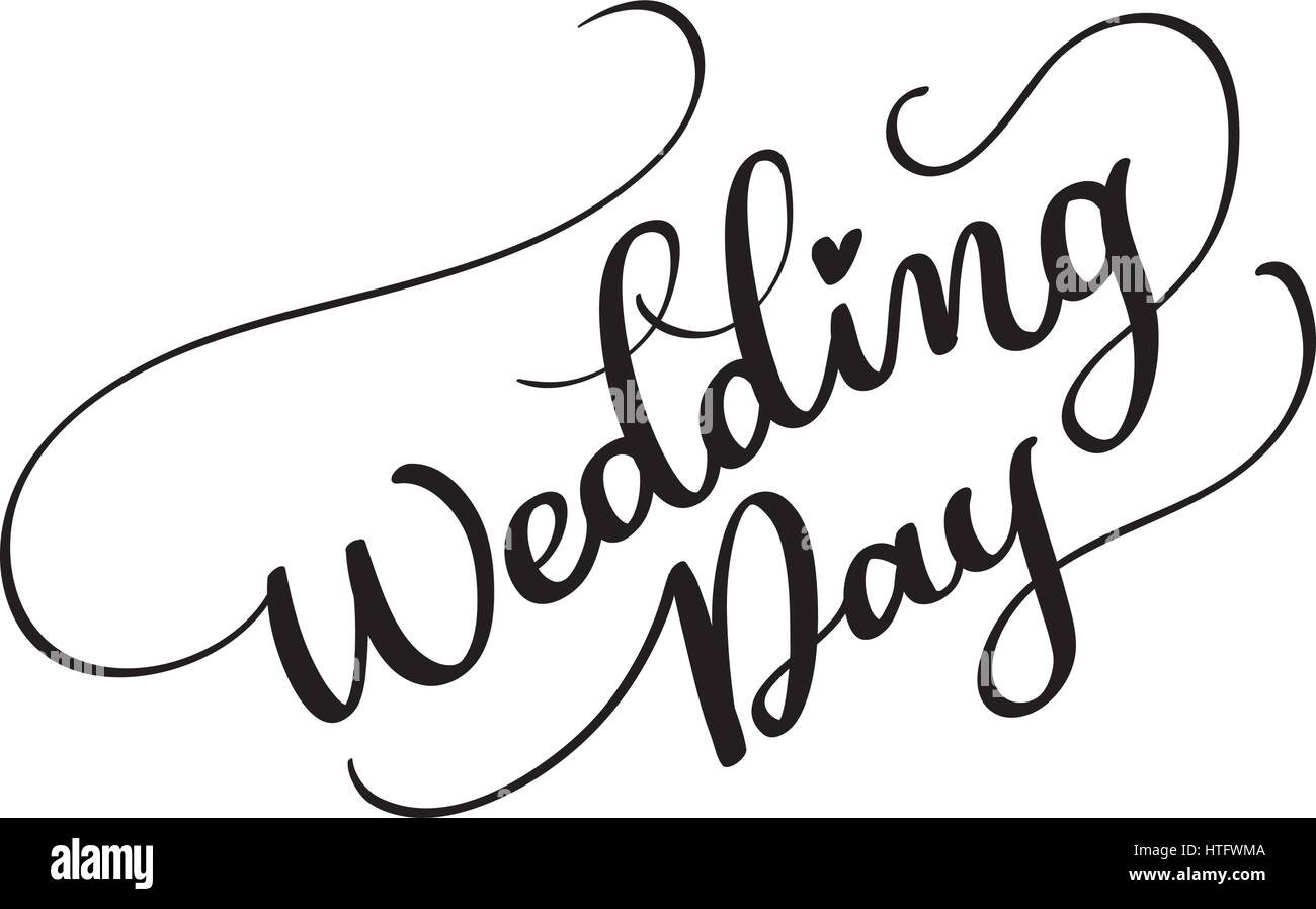 wedding day vector text on white background. Calligraphy lettering ...
