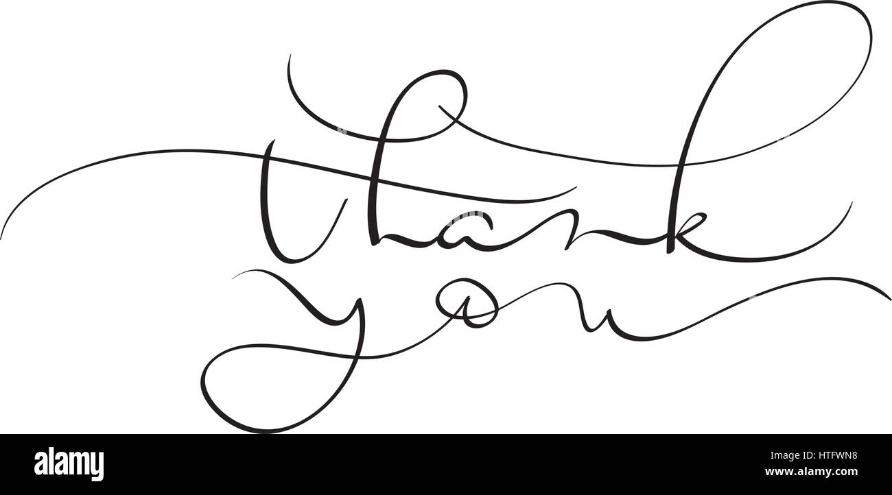 thank you vector text on white background. Calligraphy lettering ...