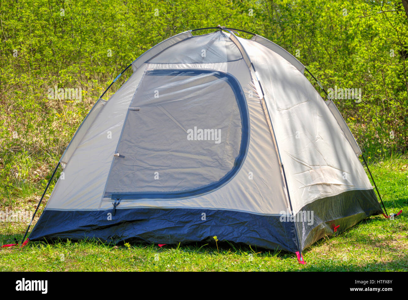 Camping tent in sunny forest Stock Photo - Alamy