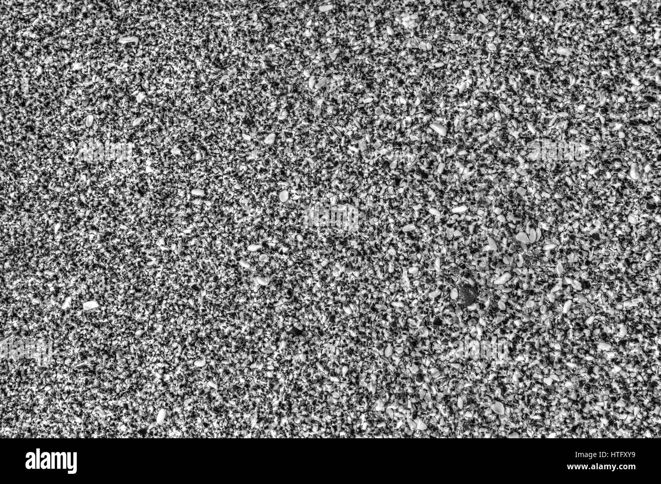 Shells background in black and white Stock Photo - Alamy