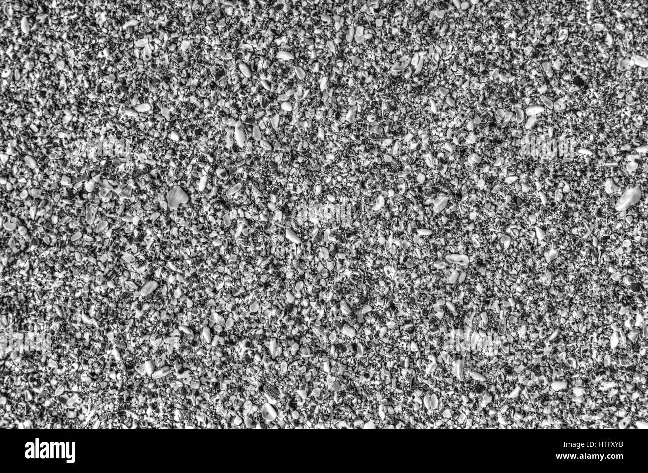Shells background in black and white Stock Photo - Alamy