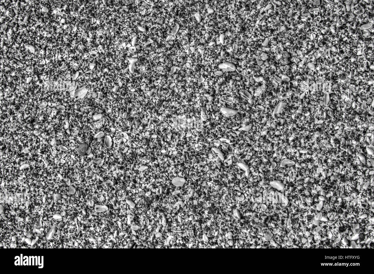 Shells background in black and white Stock Photo - Alamy