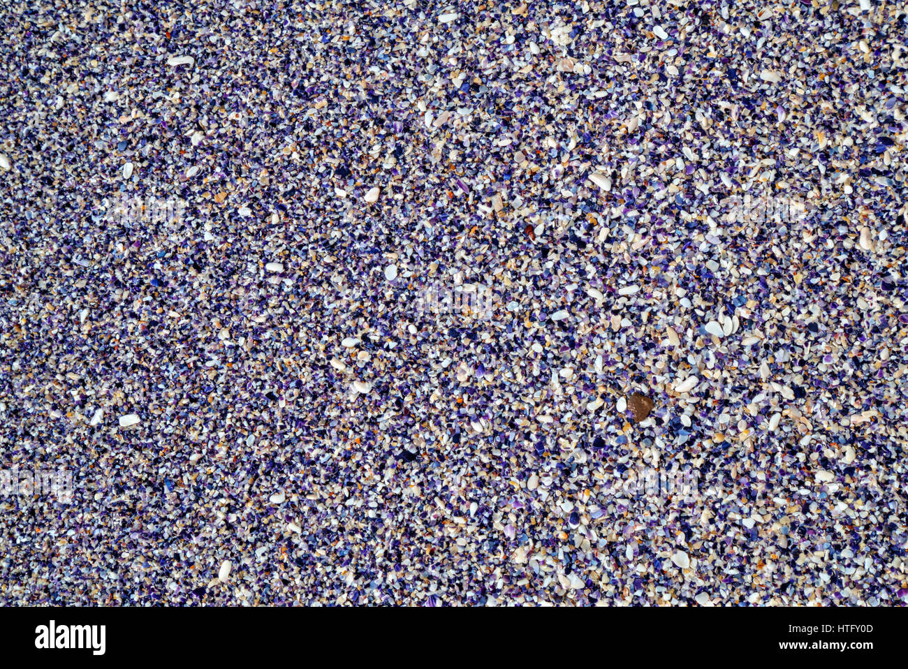 Colorful clam shells background Stock Photo - Alamy