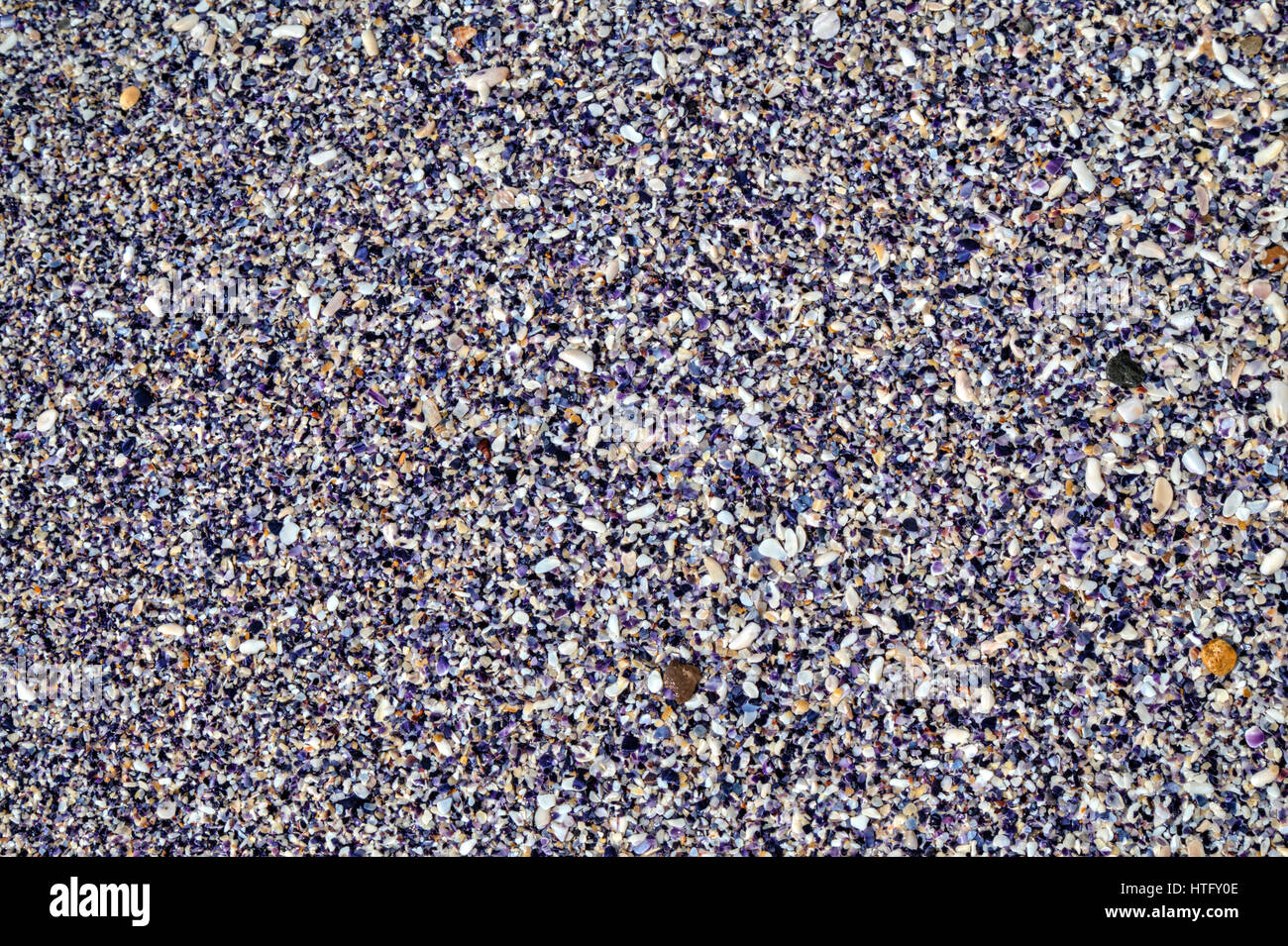 Colorful clam shells background Stock Photo - Alamy