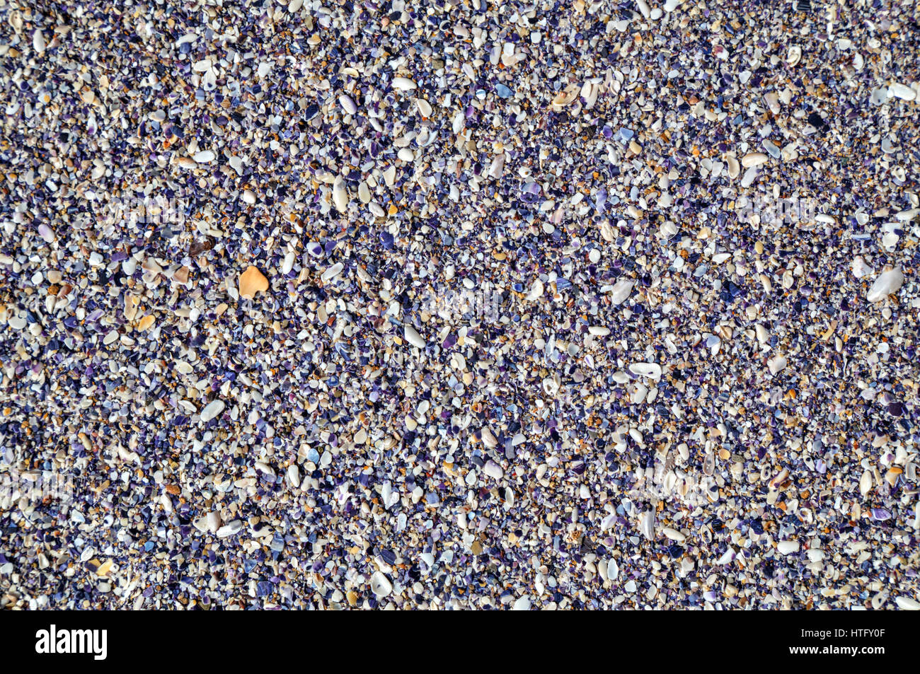 Colorful clam shells background Stock Photo - Alamy