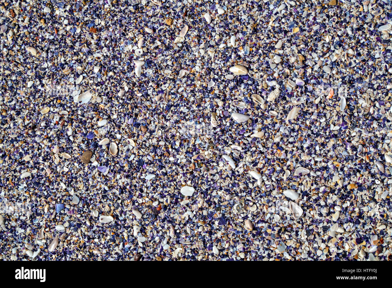 Colorful clam shells background Stock Photo - Alamy