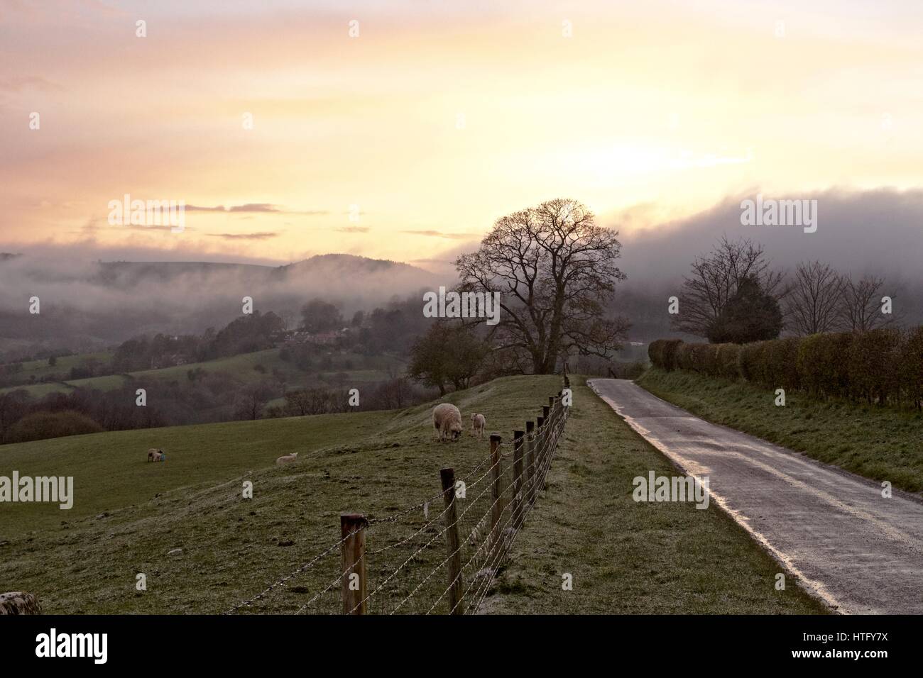 Mist and moors hi-res stock photography and images - Alamy