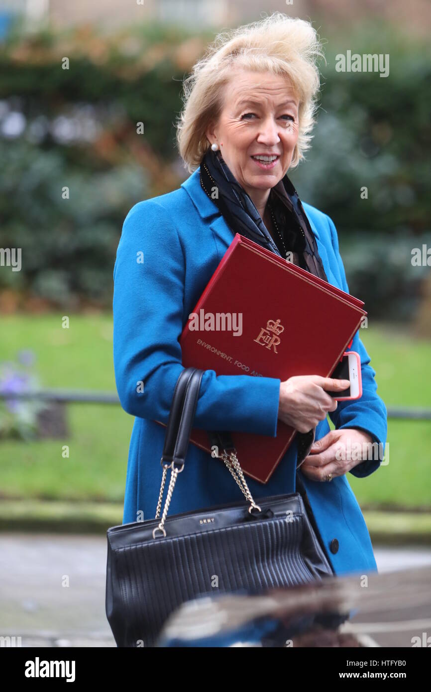 Ministers attend the weekly Cabinet meeting at 10 Downing Street ...