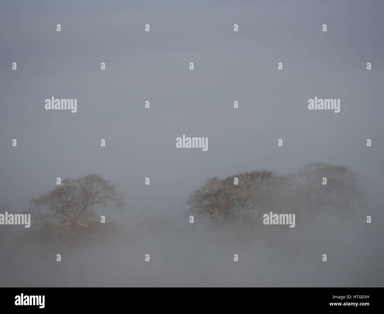 Weather mist fog weather winter hi-res stock photography and images - Alamy
