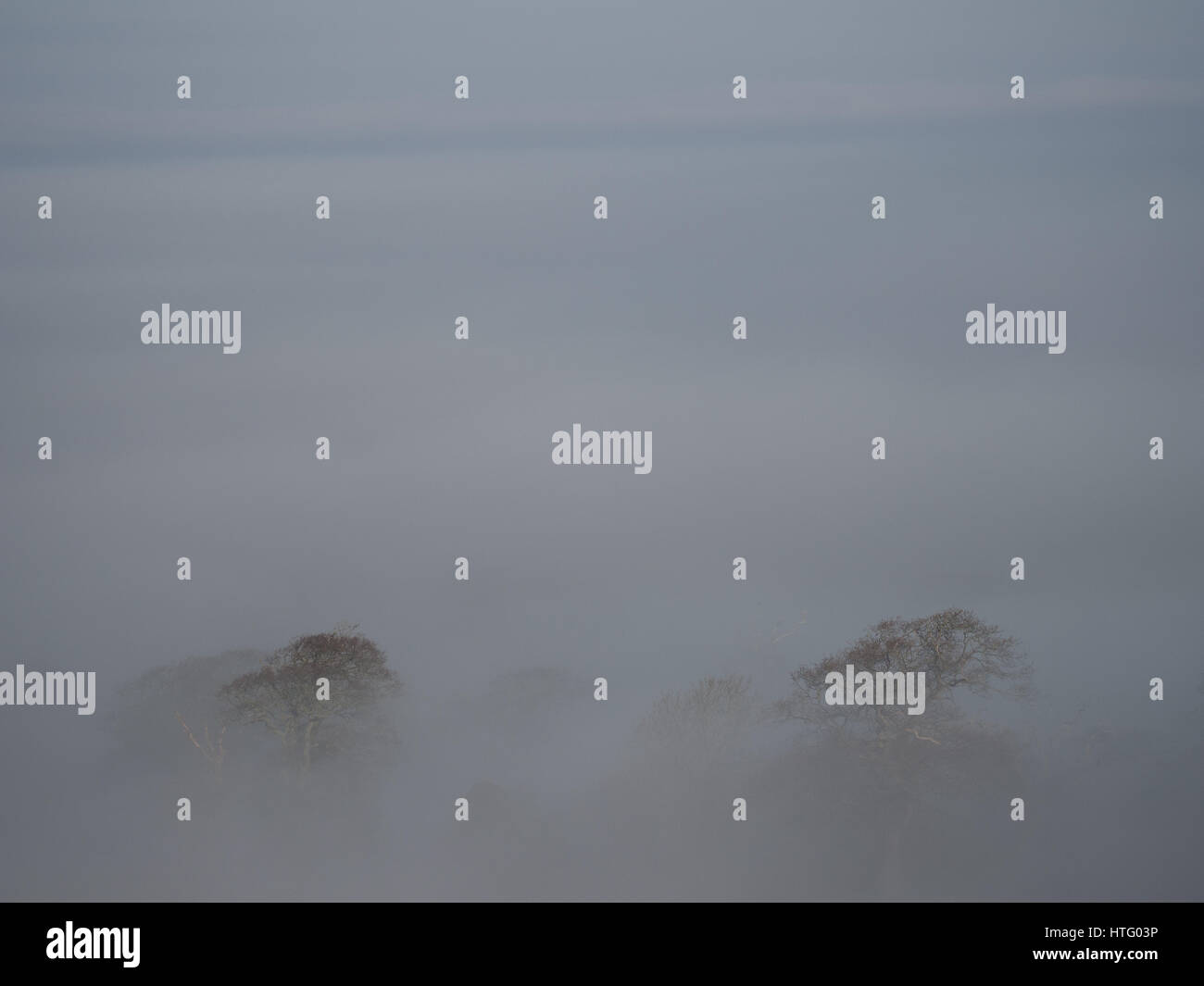 Weather mist fog weather winter hi-res stock photography and images - Alamy