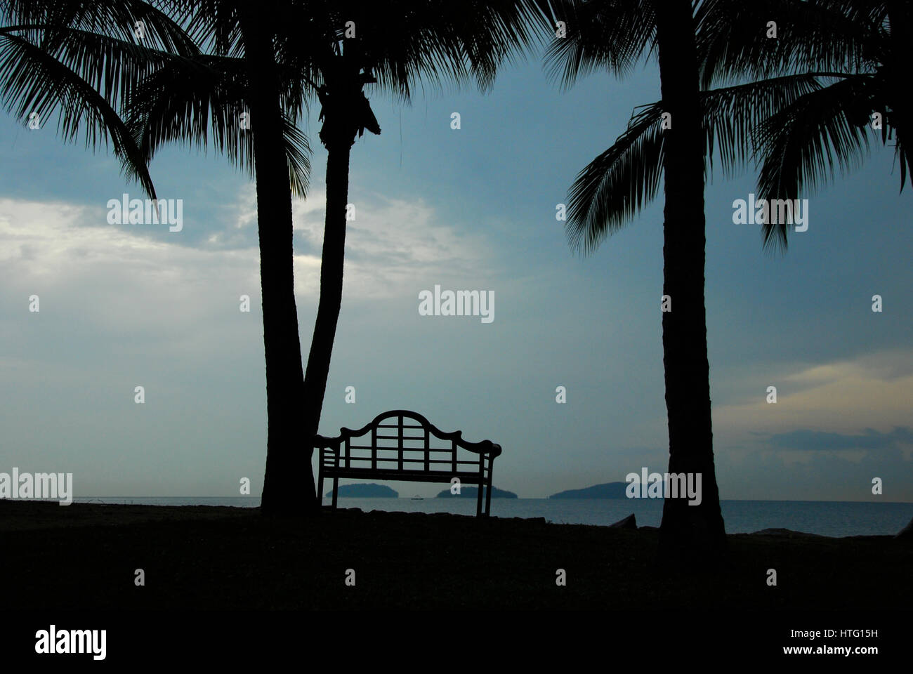 Sabah - Stock image Sabah State, Asia, Coconut Palm Tree, Kota Kinabalu ...