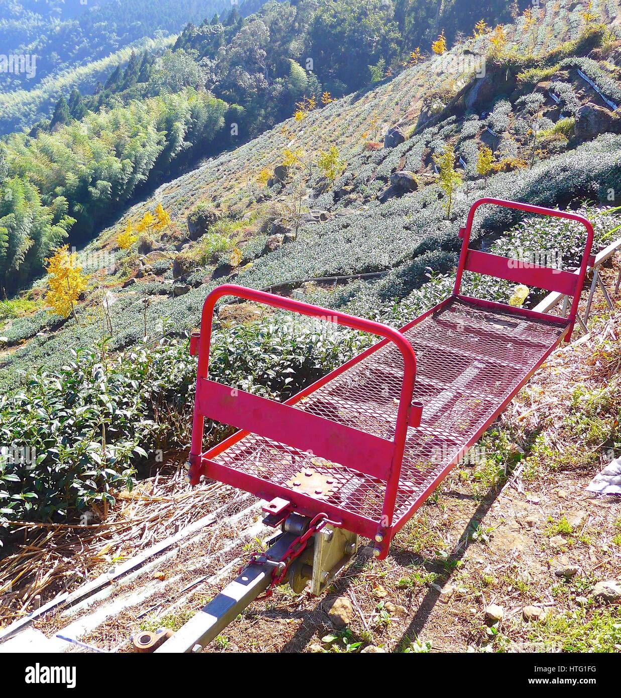 Tea van closeup in Taiwan Stock Photo - Alamy